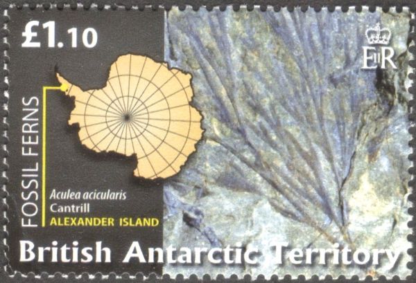 British Antarctic Territory – fossil plants, Aculea acicularis – Jerry ...
