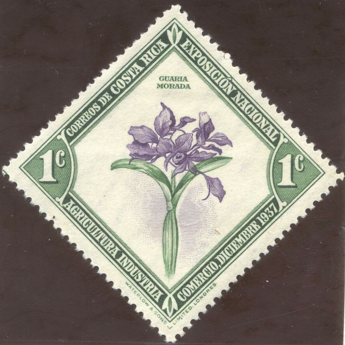 Botanical Stamps – Jerry Coleby-Williams