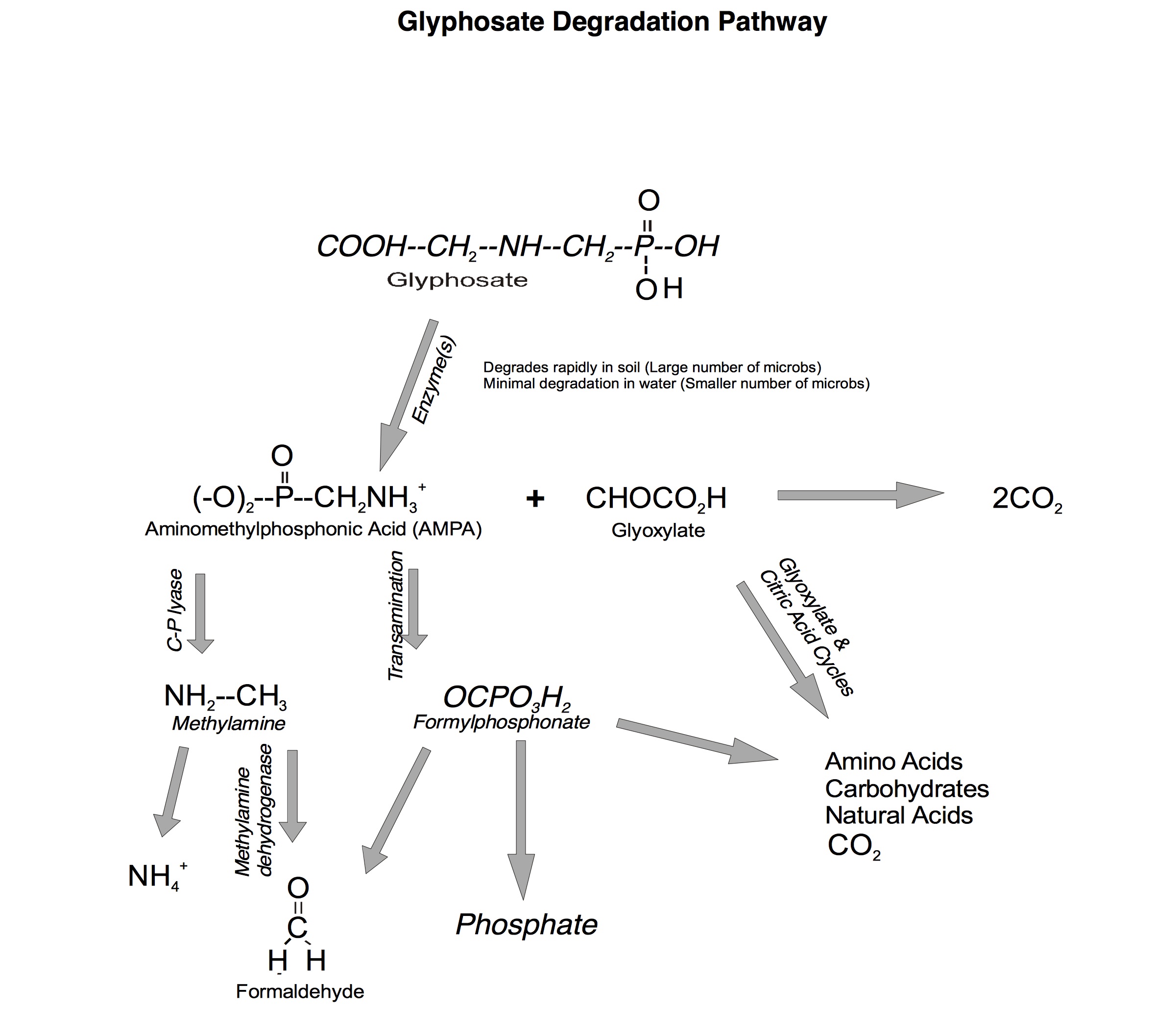 Glyphosate, The World’s Favourite Herbicide – Jerry Coleby-Williams