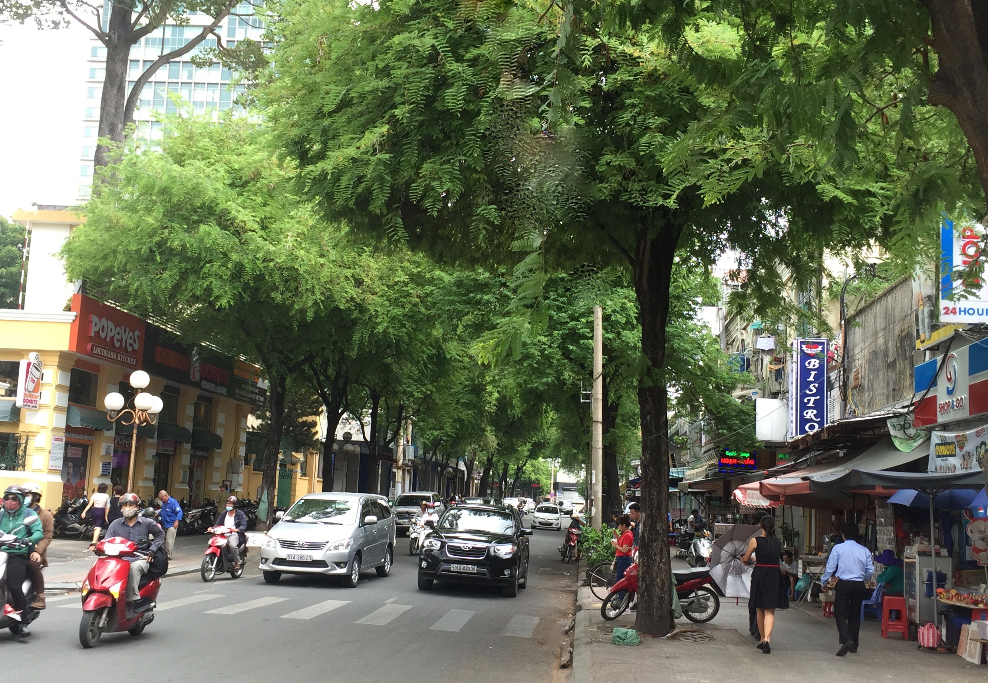 Want Safer Streets, More Bees and Good Food? Grow Tamarind Trees, not ...