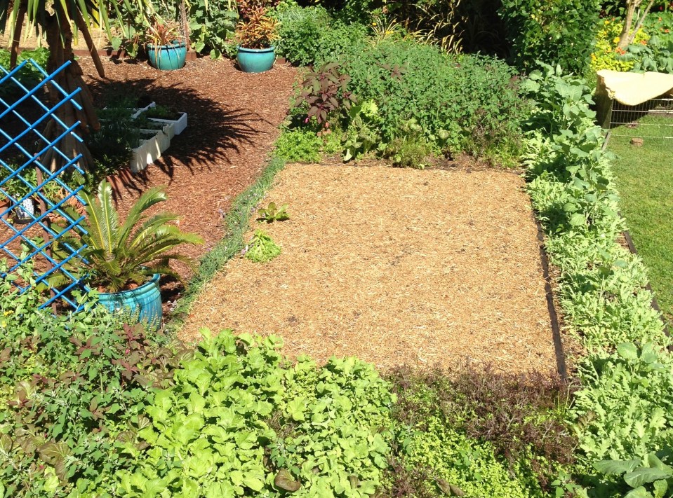 How Do I Prepare A Seedbed? – Jerry Coleby-Williams