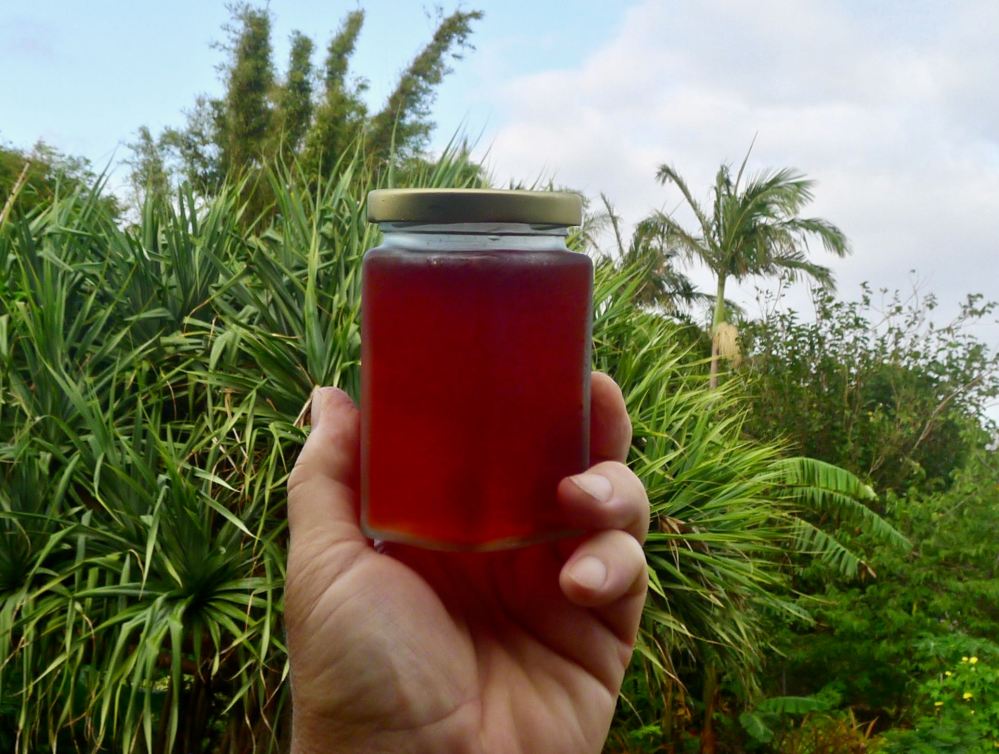 Lilly Pilly Jelly: Use Syzygium Fruit For A Taste Of Autumn – Jerry ...
