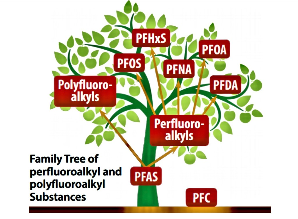 How much do you know about PFAS, the ‘forever’ poisons found in homes ...