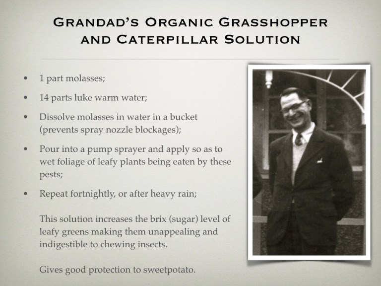 Grandad’s Organic Grasshopper And Caterpillar Solution – Jerry Coleby ...