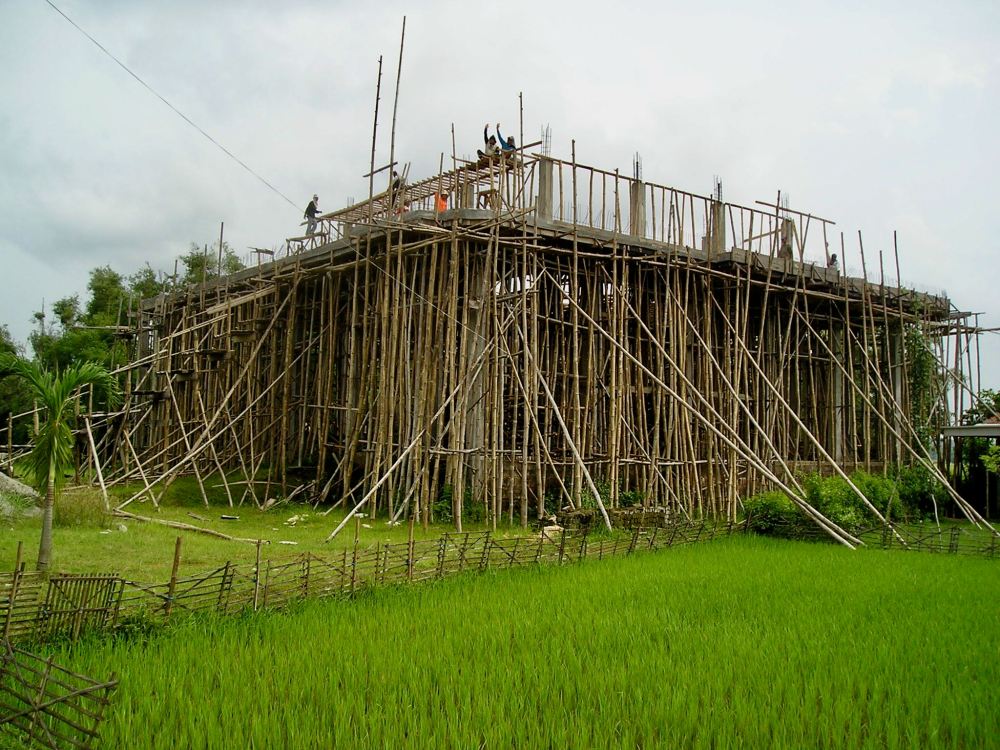 Versatile Bamboo: Food, Shade, Construction and Carbon Sequestration ...