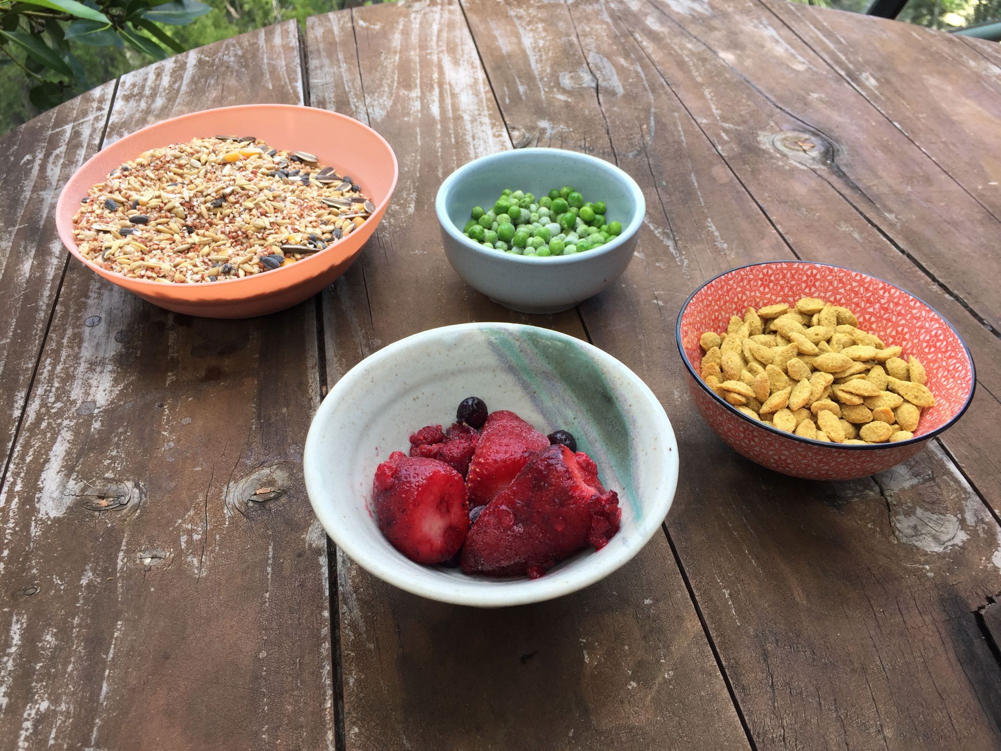 How Best To Feed Backyard Birds? – Jerry Coleby-Williams