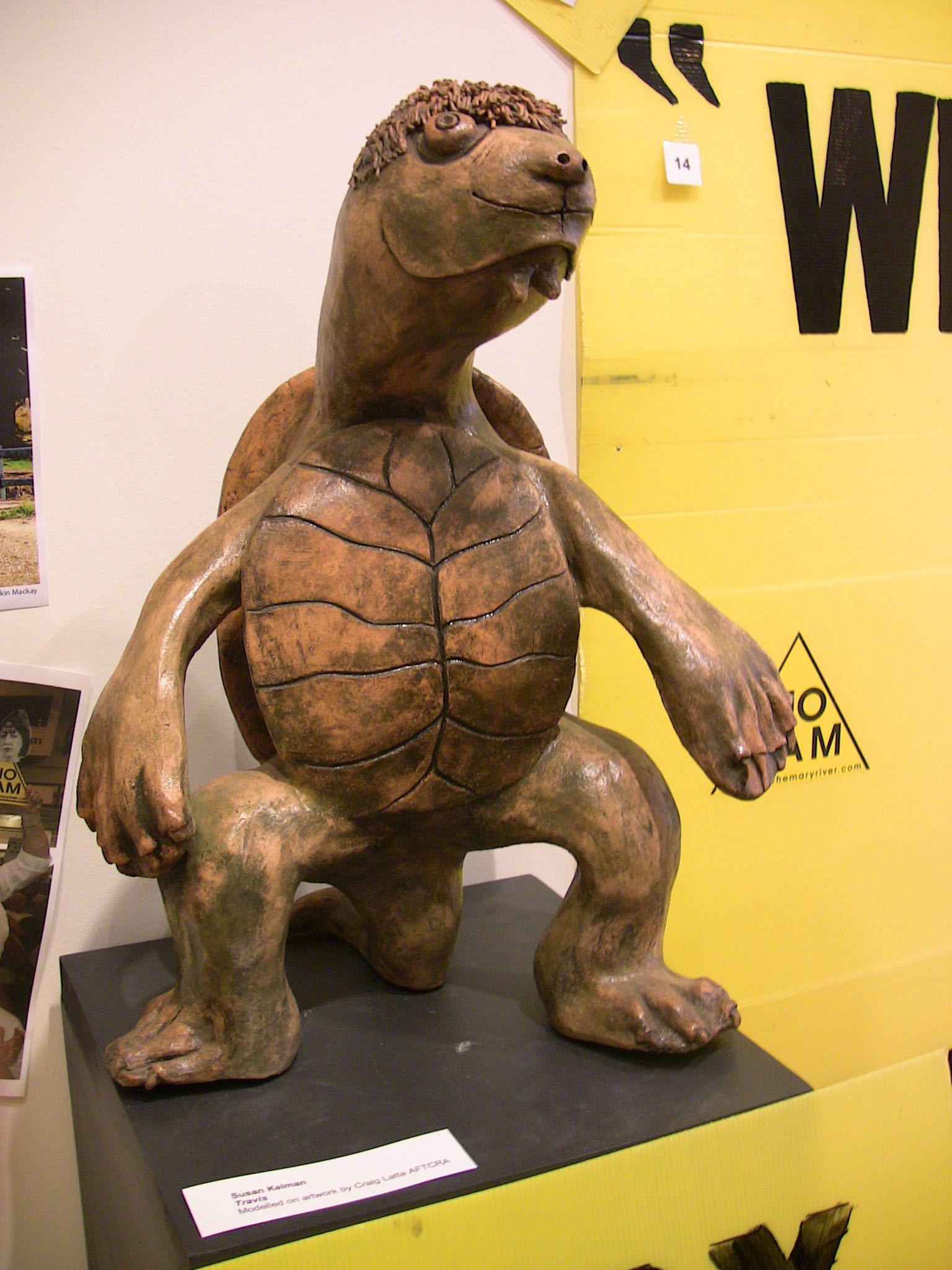 The Mary River Turtle: Uniquely Australian, Ancient and Endangered ...