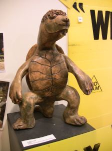 The Mary River Turtle: Uniquely Australian, Ancient and Endangered ...