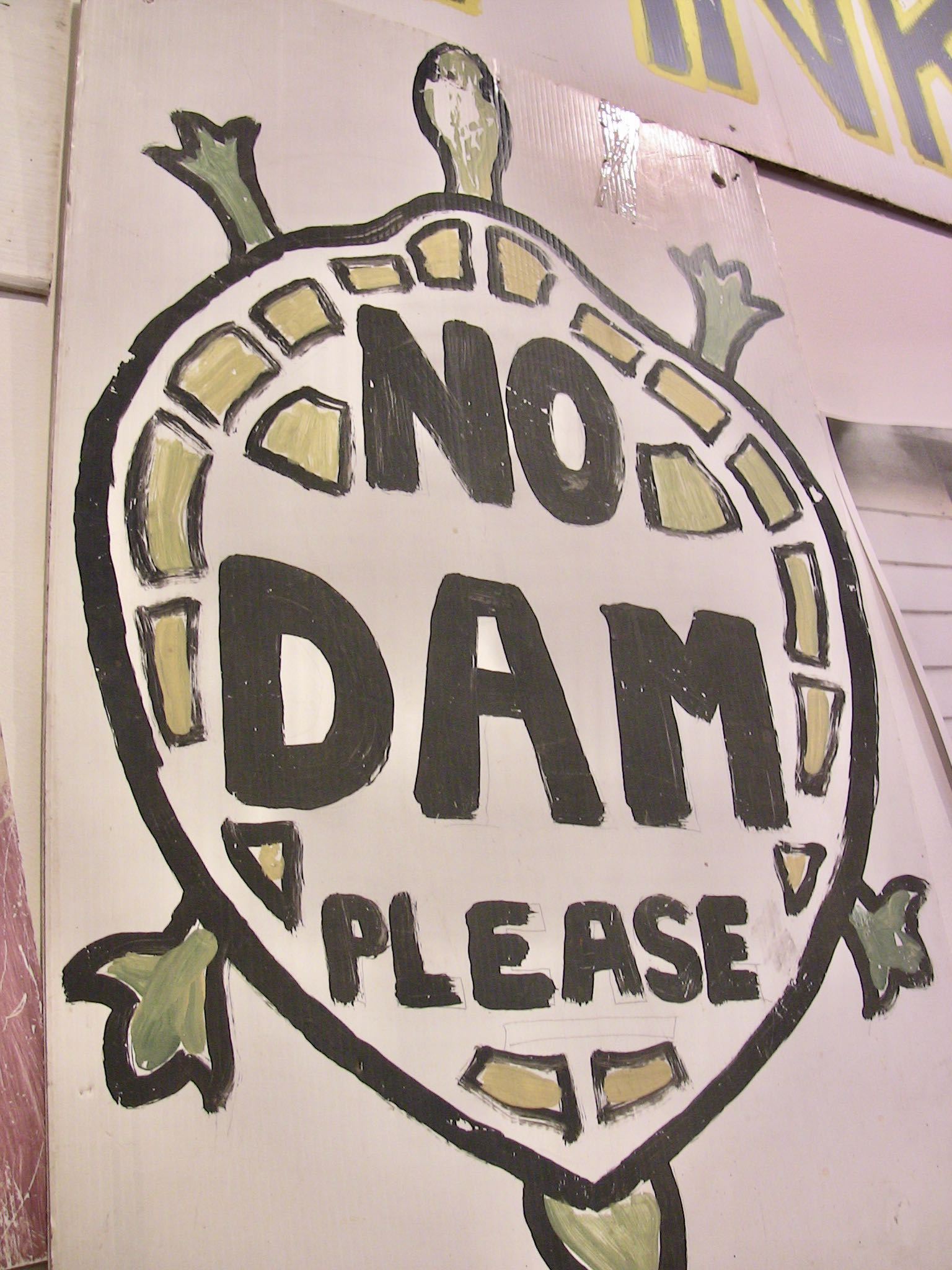 The Mary River Turtle: Uniquely Australian, Ancient and Endangered ...