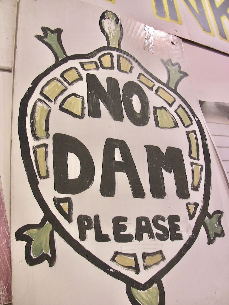 The Mary River Turtle: Uniquely Australian, Ancient and Endangered ...