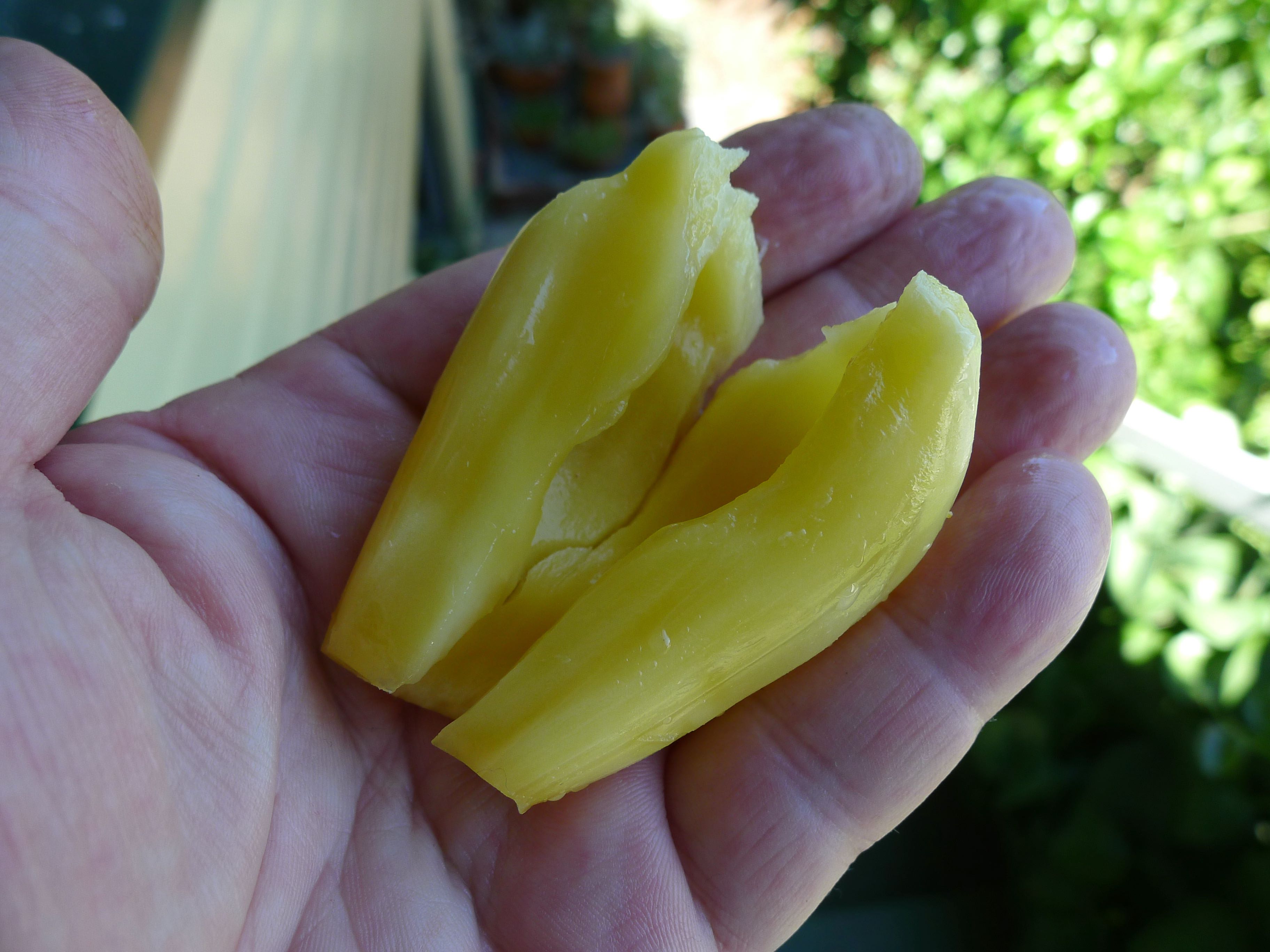 Home Grown Food Security: Jackfruit. – Jerry Coleby-Williams